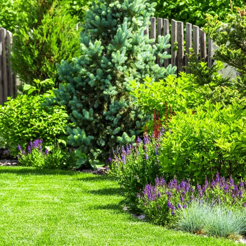 Premium Landscaping | Togo Landscape Co. | Spencerville - Premium ...